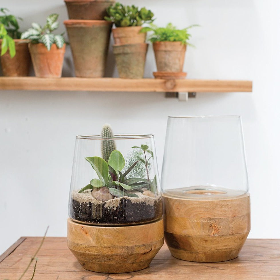 Vibrant and Beautiful Succulent Arrangements - Shop Now! – Succulent Bar