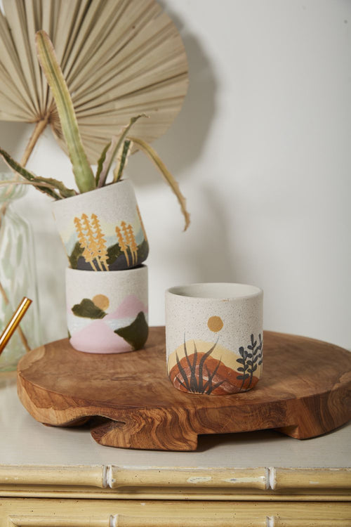 Bring Nature into Your Home with Potted Succulents – Succulent Bar