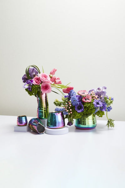 Bring Nature into Your Home with Potted Succulents – Succulent Bar