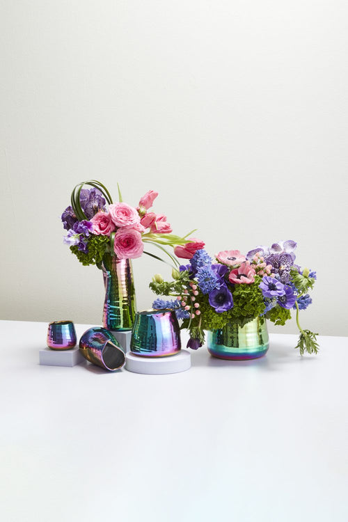 Bring Nature into Your Home with Potted Succulents – Succulent Bar