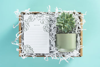 Corporate – Succulent Bar