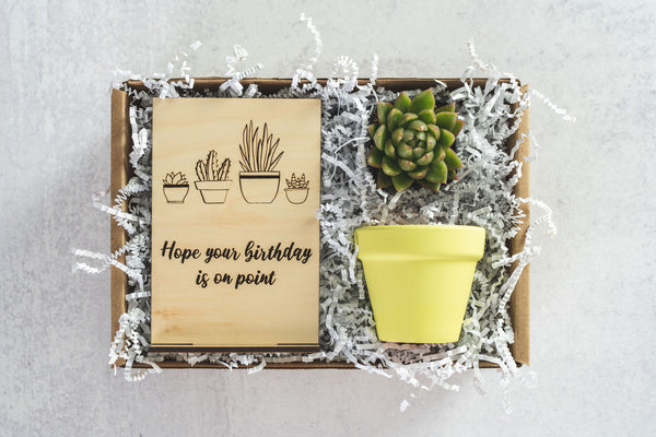 Happy Birthday Succulents | Fun & Creative Birthday Gifts – Succulent Bar