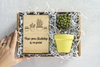 Happy Birthday Succulents | Fun & Creative Birthday Gifts – Succulent Bar