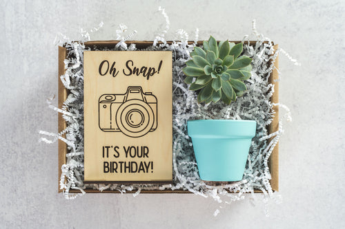 Happy Birthday Succulents | Fun & Creative Birthday Gifts – Succulent Bar