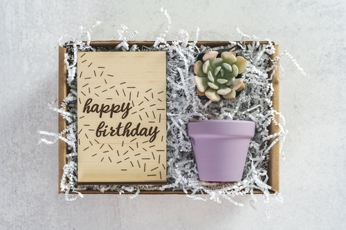 Happy Birthday Succulents | Fun & Creative Birthday Gifts – Succulent Bar