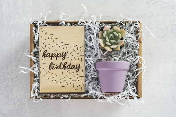 Happy Birthday Succulents | Fun & Creative Birthday Gifts – Succulent Bar