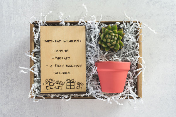 Happy Birthday Succulents | Fun & Creative Birthday Gifts – Succulent Bar