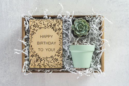 Happy Birthday Succulents | Fun & Creative Birthday Gifts – Succulent Bar