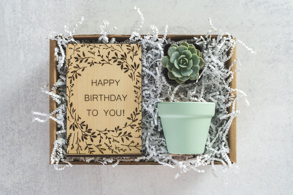 Happy Birthday Succulents | Fun & Creative Birthday Gifts – Succulent Bar