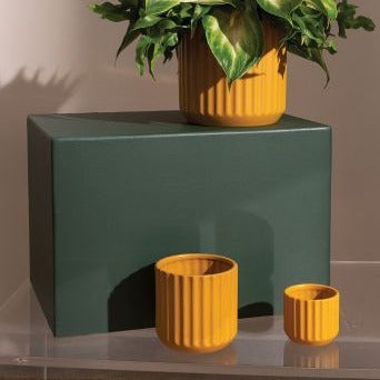 Beam Pot – Succulent Bar