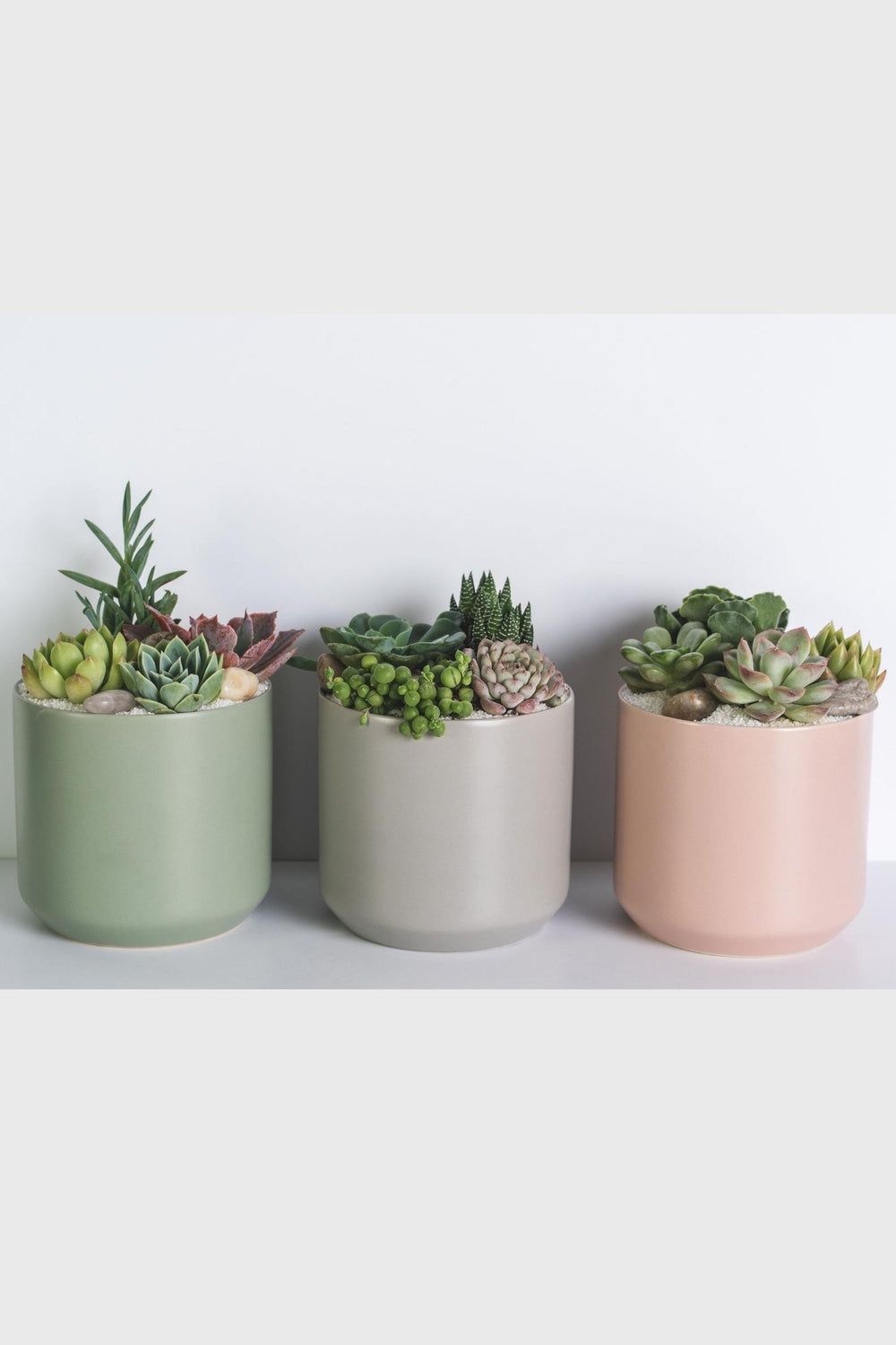 Contemporary Ceramic Arrangement – Succulent Bar