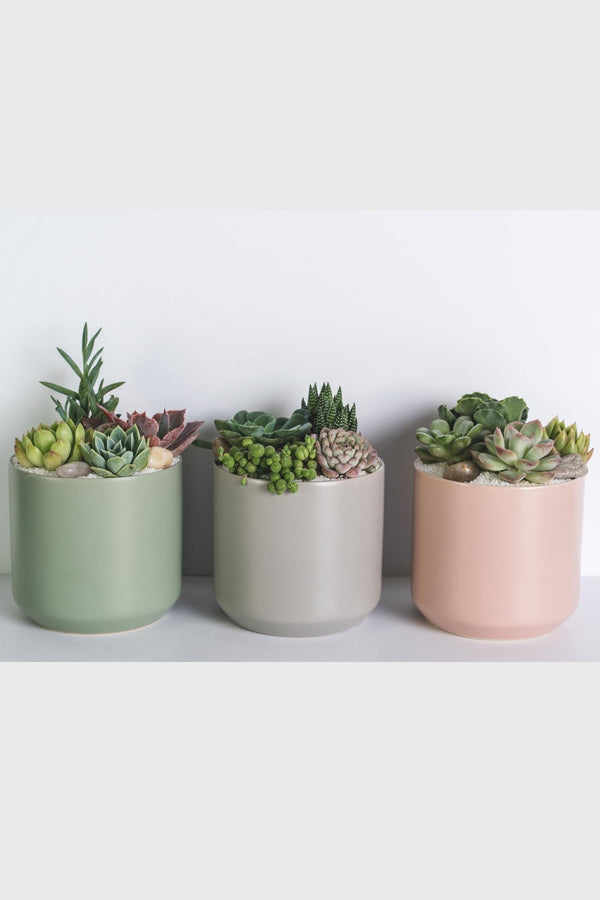 Contemporary Ceramic Arrangement – Succulent Bar